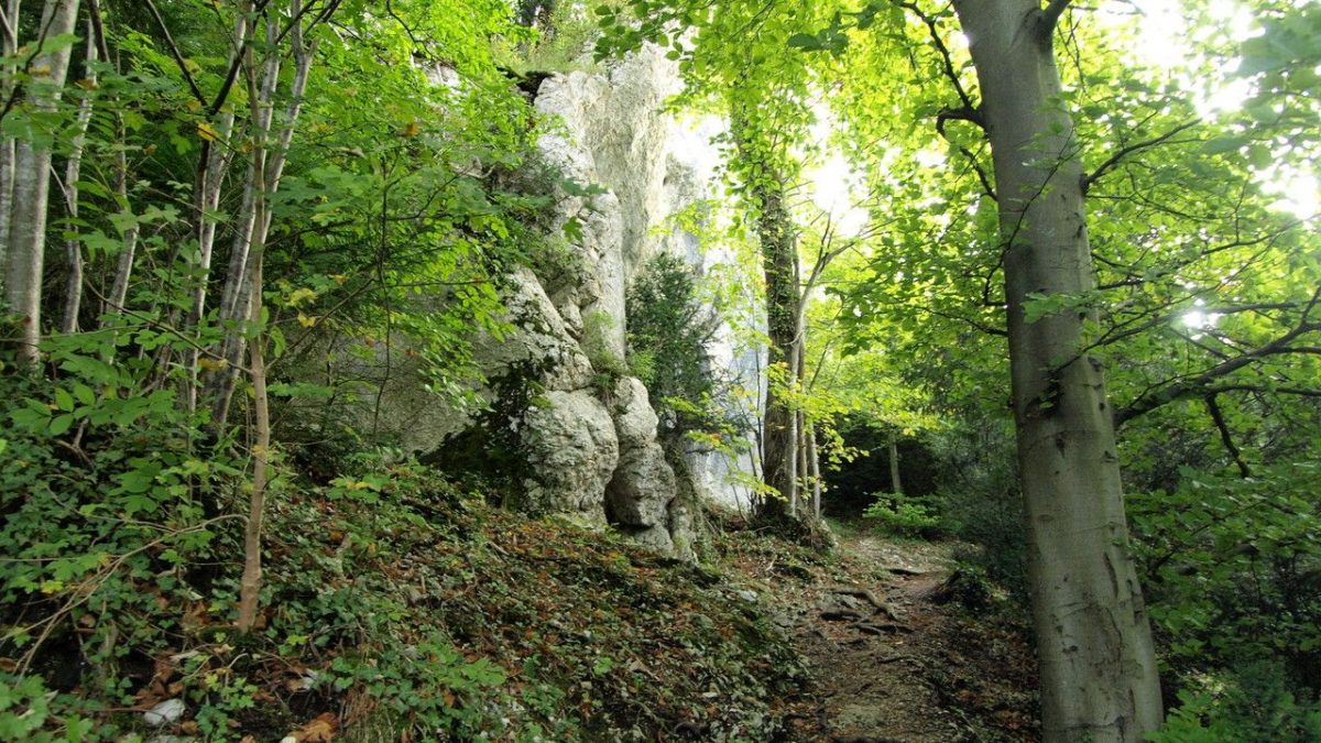 Mythes et légendes d'Alsace : La grotte des nains de Ferrette