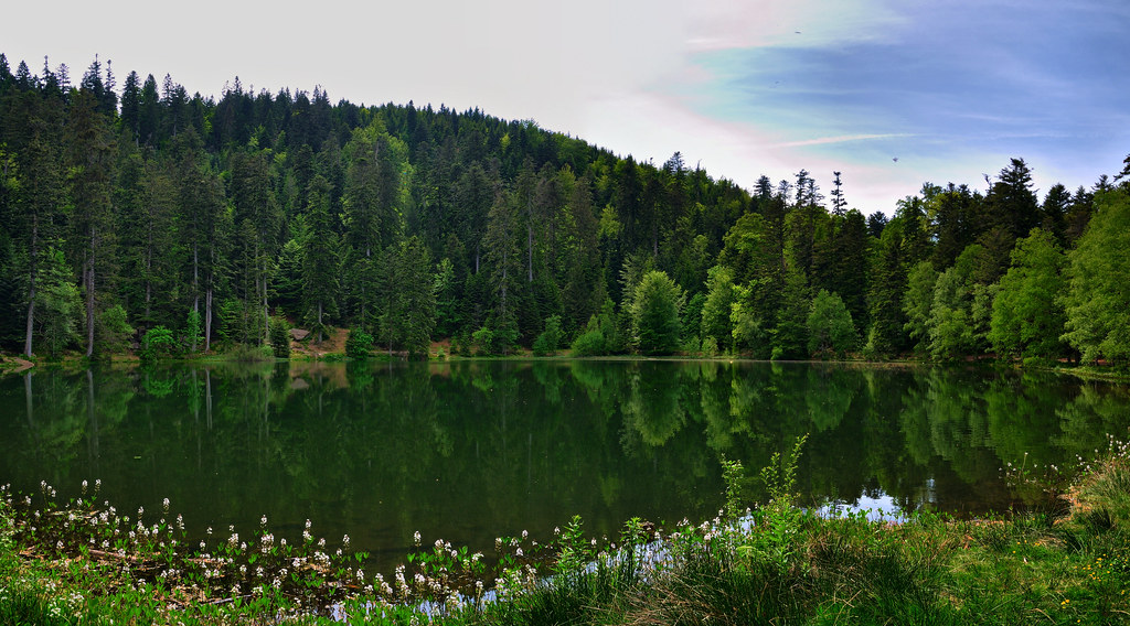 Mythes et légendes d'Alsace : le Diable Violoneux du lac de la Maix