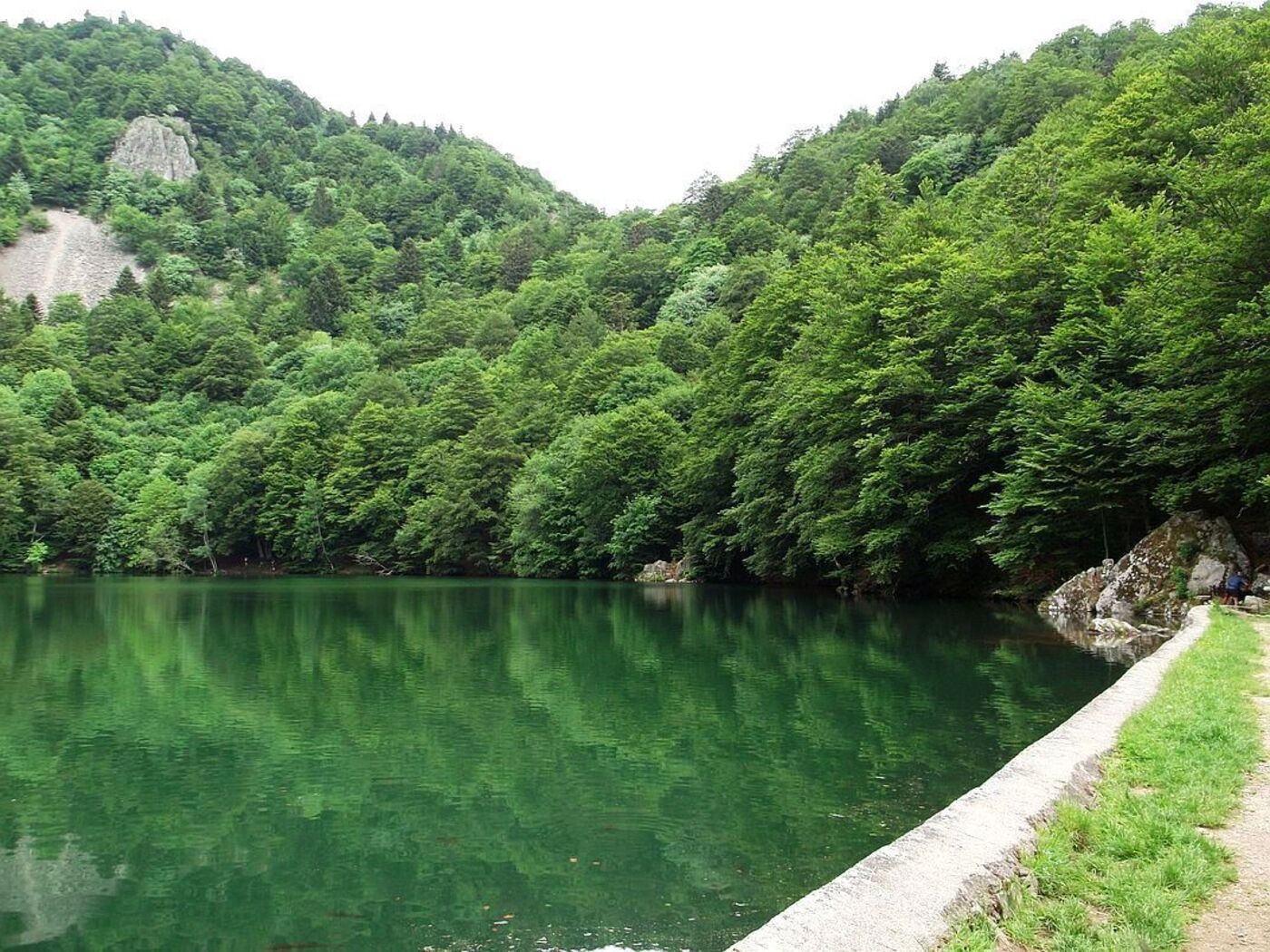 Sortie nature : au coeur des Vosges, le lac des Perches