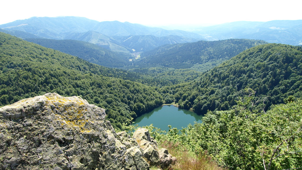 Sortie nature : au coeur des Vosges, le lac des Perches