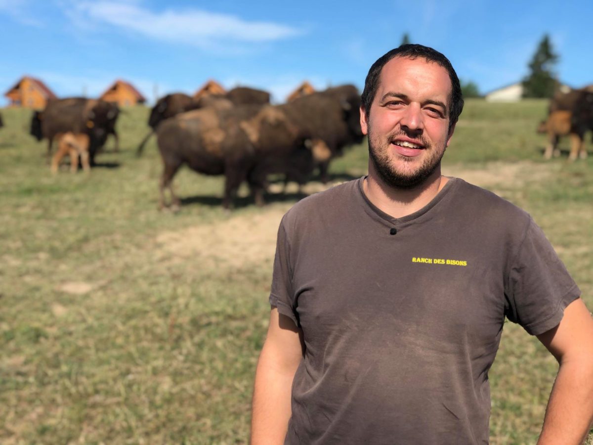 On a passé une nuit avec des bisons à 1h de Strasbourg
