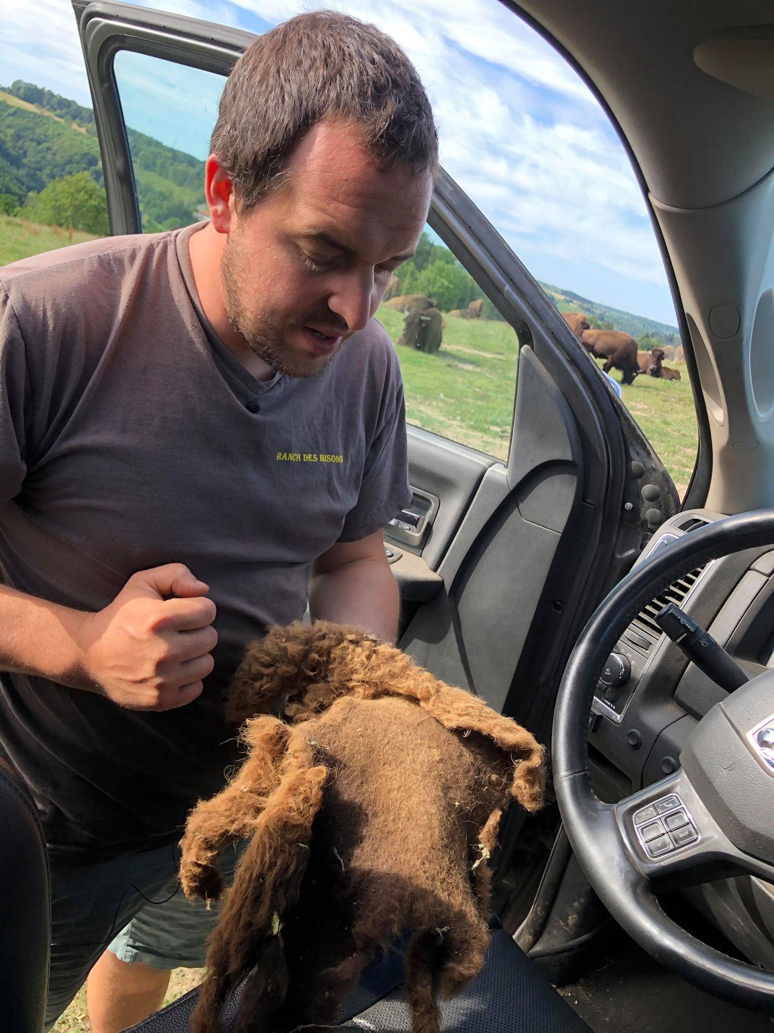 On a passé une nuit avec des bisons à 1h de Strasbourg