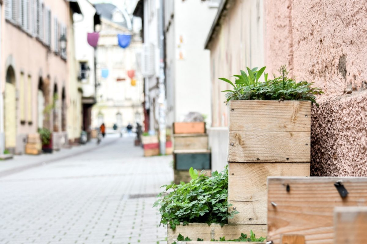 5 conseils pour cultiver un potager en permaculture sur son balcon ...