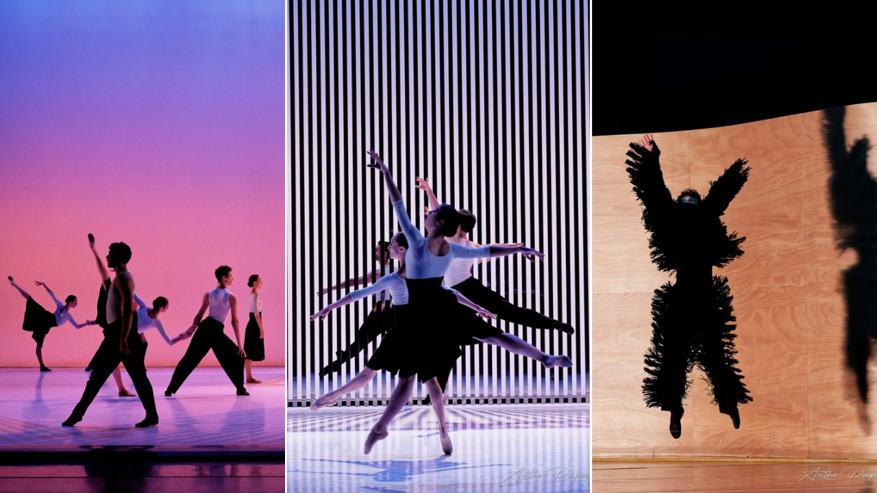 Rêveries, illusions & frénésie : un ballet extraordinaire s’installe ...