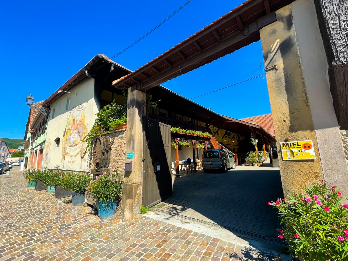 Rendez-vous en terre voisine : Molsheim, une bourgade pleine de charme