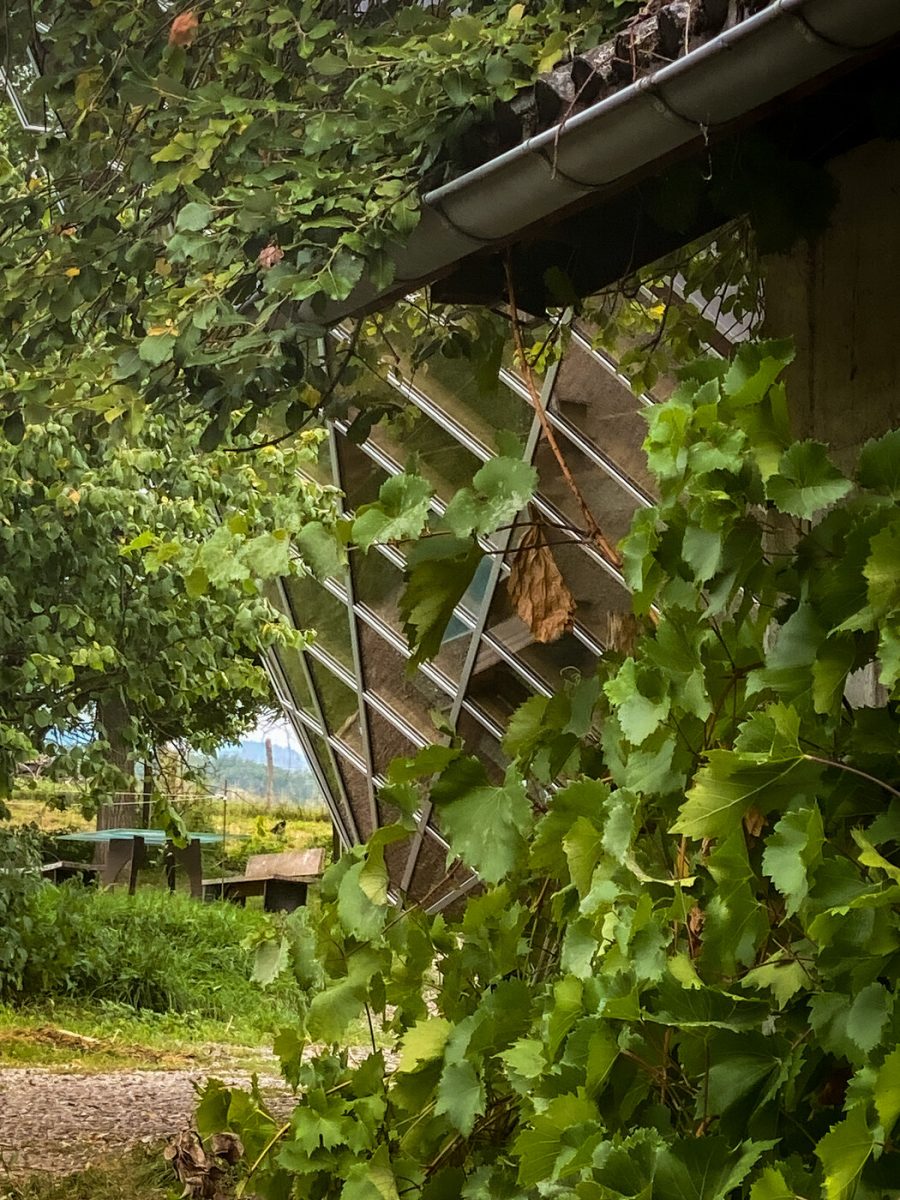 Innovation architecturale : l'Héliodome, la maison du futur made in Alsace