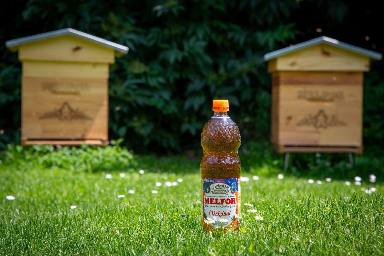 102 ans de vinaigre : Melfor, l'histoire d'une marque qui a conquis le ...